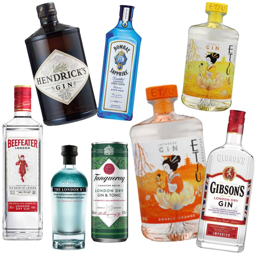 Top-Rated Gins – Premium, London, Dry, Flavoured and Imported – The Yum ...